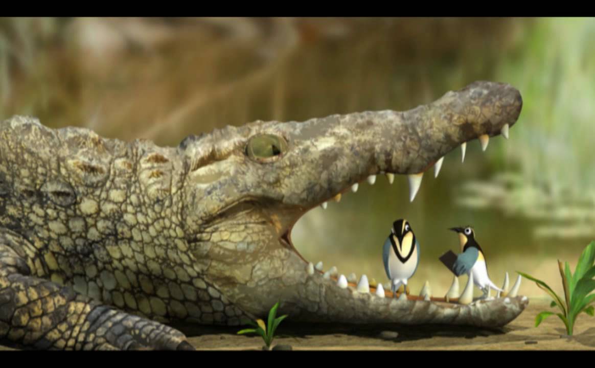 Birds Eating From Crocodile Mouth at Lilian Dixson blog